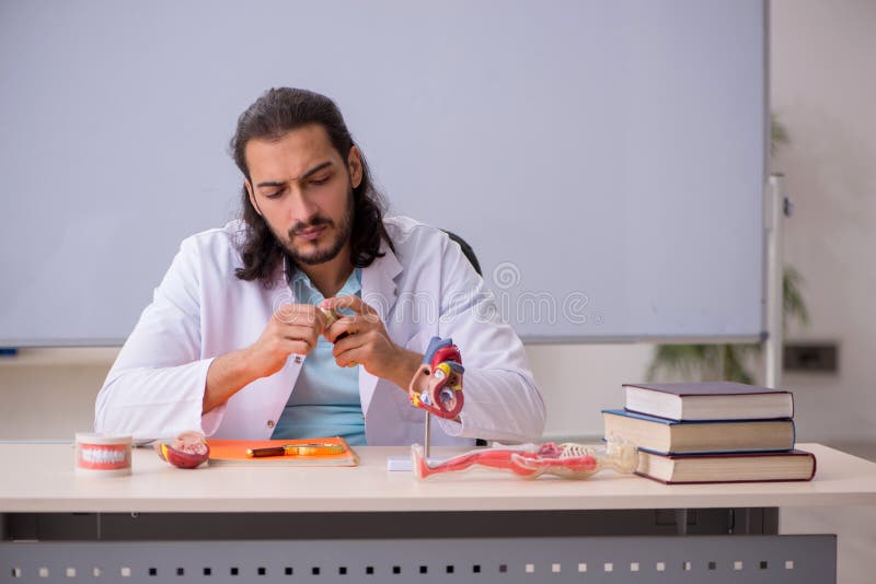 Young Male Student Studying Human Anatomy Stock Photo - Image of ...