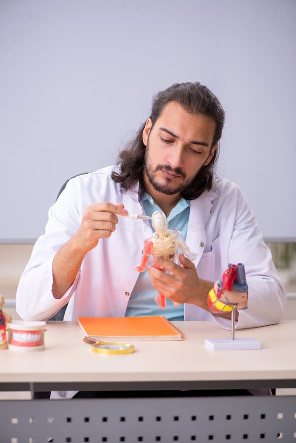 Young Male Student Studying Human Anatomy Stock Photo - Image of class ...