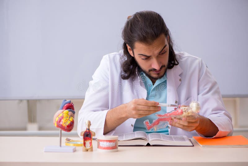 Young Male Student Studying Human Anatomy Stock Photo - Image of ...