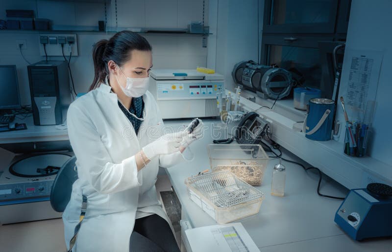 Laboratory Mouse Tries To Escape Stock Image - Image of human, mouse ...