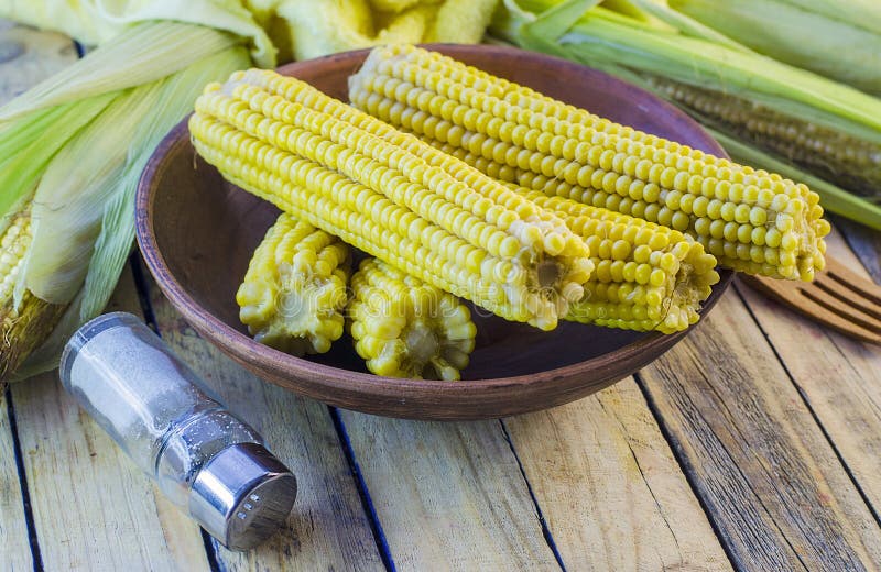 Young sweet corn stock image. Image of sweet, green, harvest - 75500065