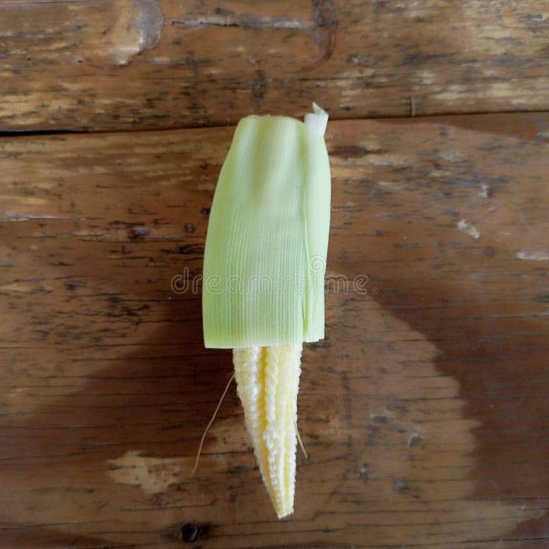 Young sweet corn is one stock photo. Image of groups - 274363524