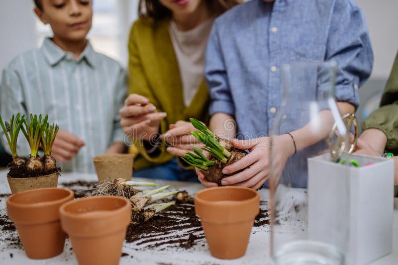 Young Teacher Learning Pupils How To Take Care about Plants. Stock ...
