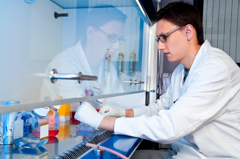 Young Scientist Works in Modern Laboratory Stock Photo - Image of ...