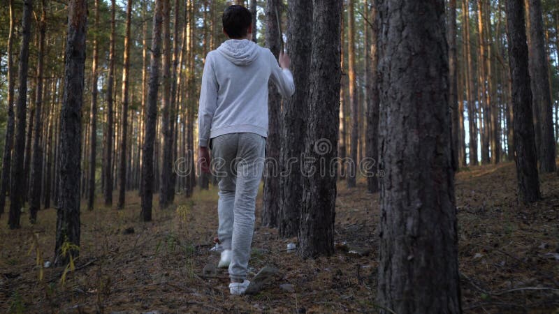 Young Teen Boy Walking in the Pine Tree Forest Stock Footage - Video of ...