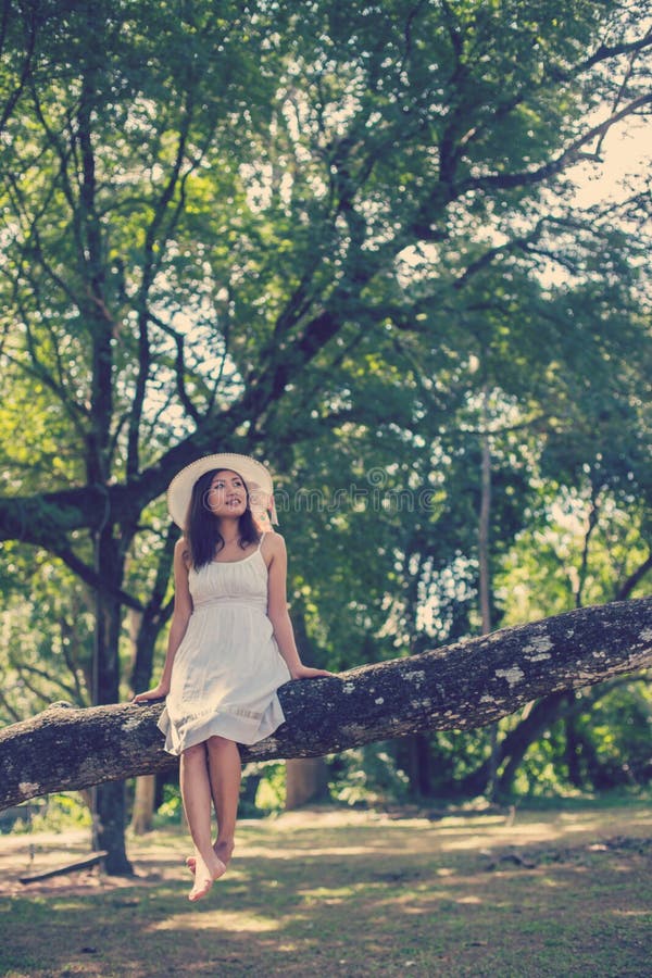 Young Teen Girl Sitting on Tree Stock Photo - Image of smiling, beauty ...