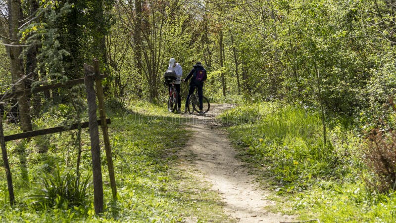 Young Teenagers Cycling on a Grassy Path, from Behind, in the Spring ...