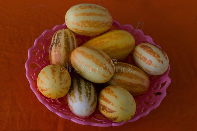 Young Tigger Melon Collection in a Bowl Stock Photo - Image of small ...