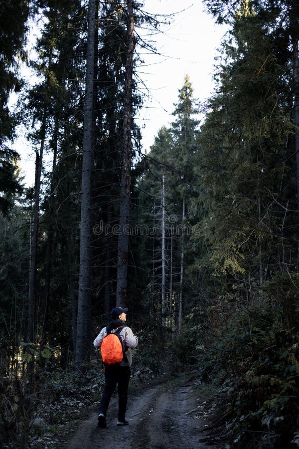 Young Tourist Man Walking in the Forest Alone with Bag Covered with ...