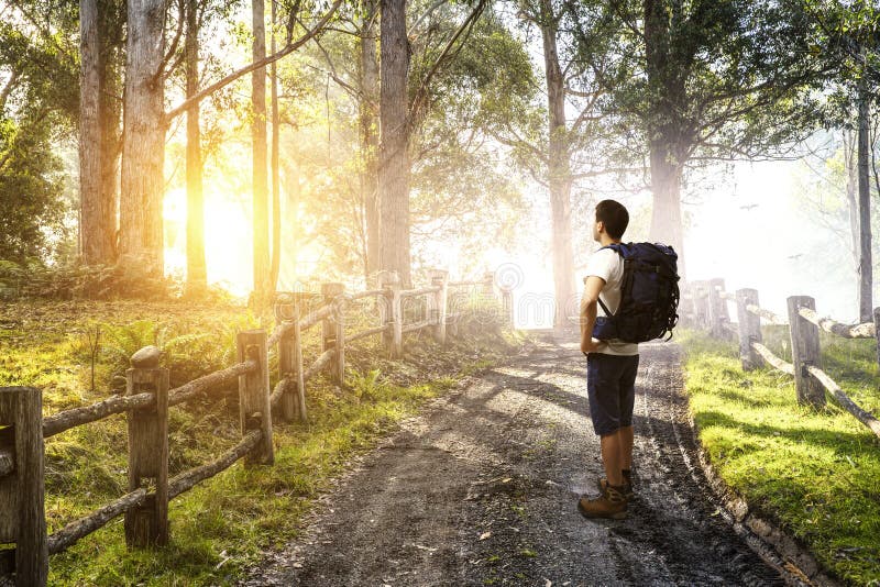 Young Traveler Exploring the World Concept Stock Photo - Image of ...