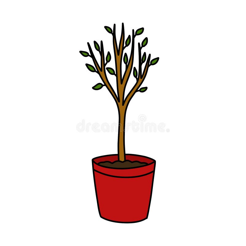 Young Tree Doodle Icon, Vector Color Line Illustration Stock Vector ...