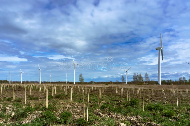 Young Tree Planting, Wind Turbine Units in the Field Stock Image ...