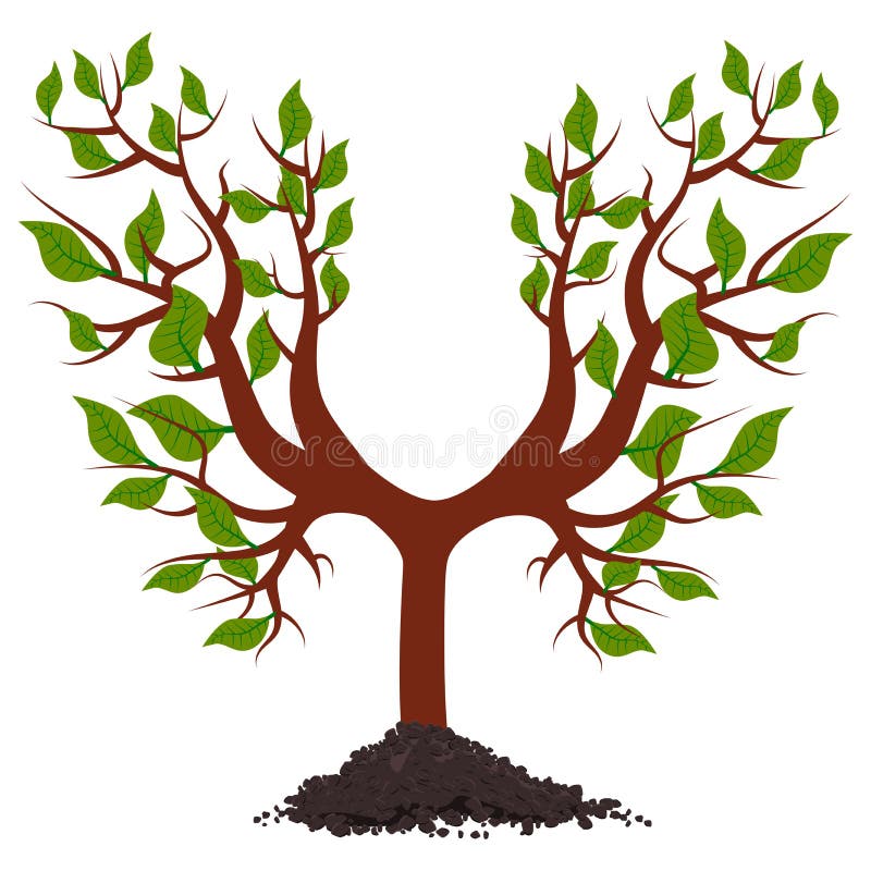 Little Tree Clipart