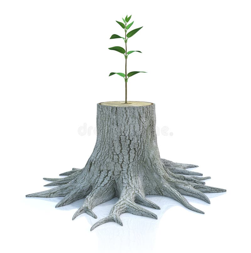 Young Tree Seedling Grow from Old Stump Stock Illustration ...