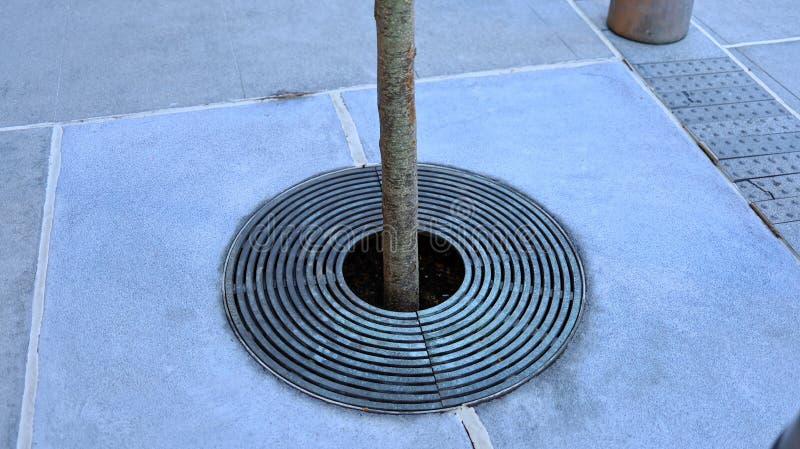 Modern Tree Holder that Allows for Sidewalk Water Drainage Stock Photo ...