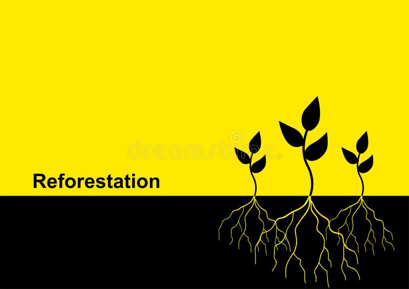 Reforestation Infographic Stock Illustrations – 80 Reforestation ...