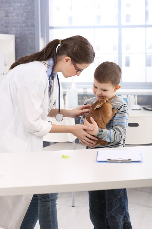 Vet Helping Little Kid With Rabbit Stock Photo - Image of domesticated ...