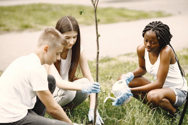 Young Volunteers Planting a Tree Together at Park Stock Image - Image ...
