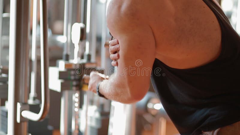 Young White Bodybuilder Training Biceps in the Gym Stock Video - Video ...