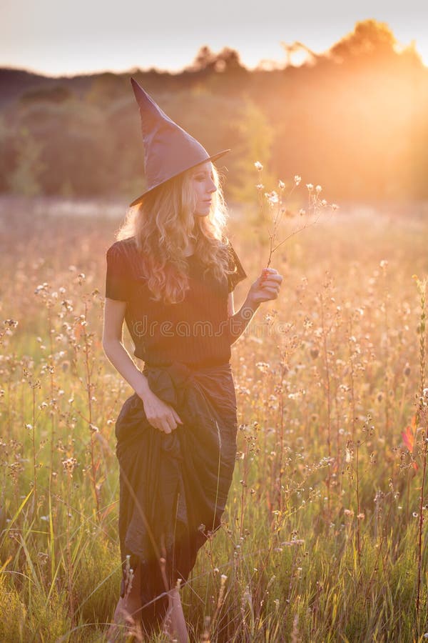 Witch Gathers Herbs in the Field Stock Image - Image of field, holiday ...