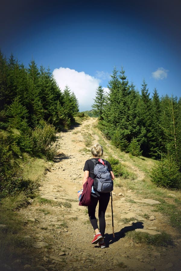 A Young Woman with a Backpack and a Stick Climbs the Mountain on a Path ...