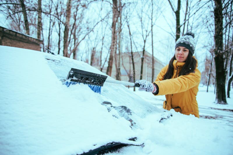 Clean Up after Storm Damage Stock Image - Image of damaged, green ...