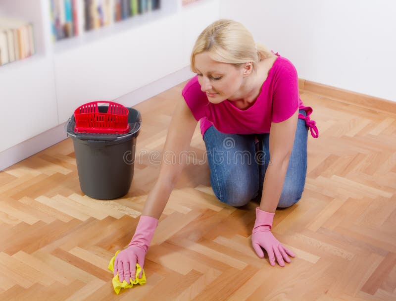 Young Woman Cleaning Home stock photo. Image of happy - 31853852