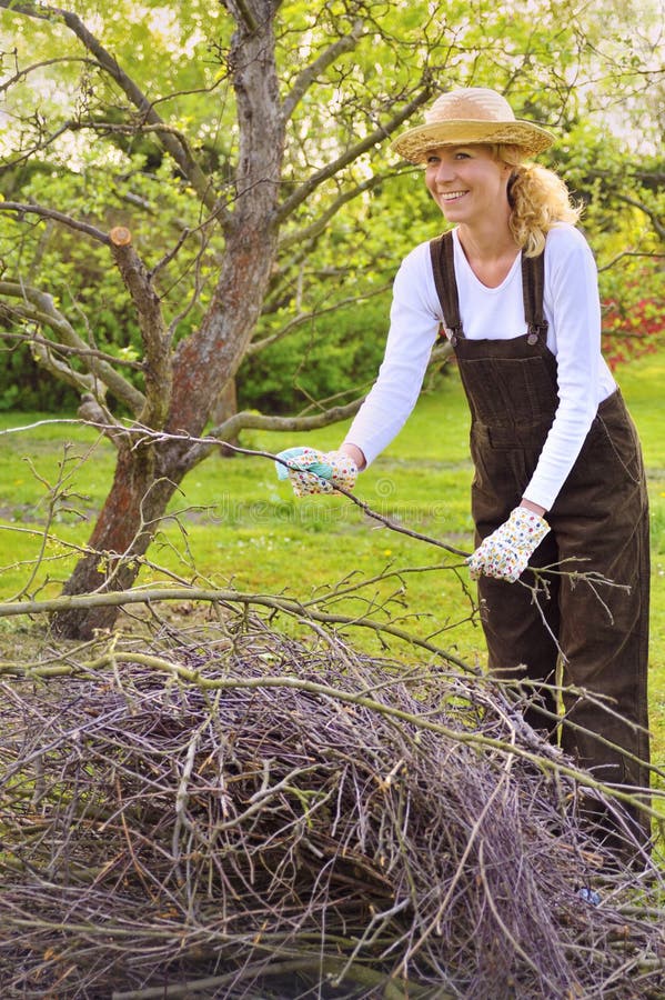 Young Woman Cleaning Tree Limbs Stock Photo - Image of concentration ...