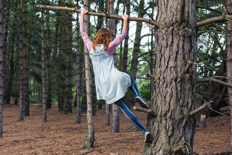 Young Woman Climbing a Tree Stock Photo - Image of human, outdoors ...