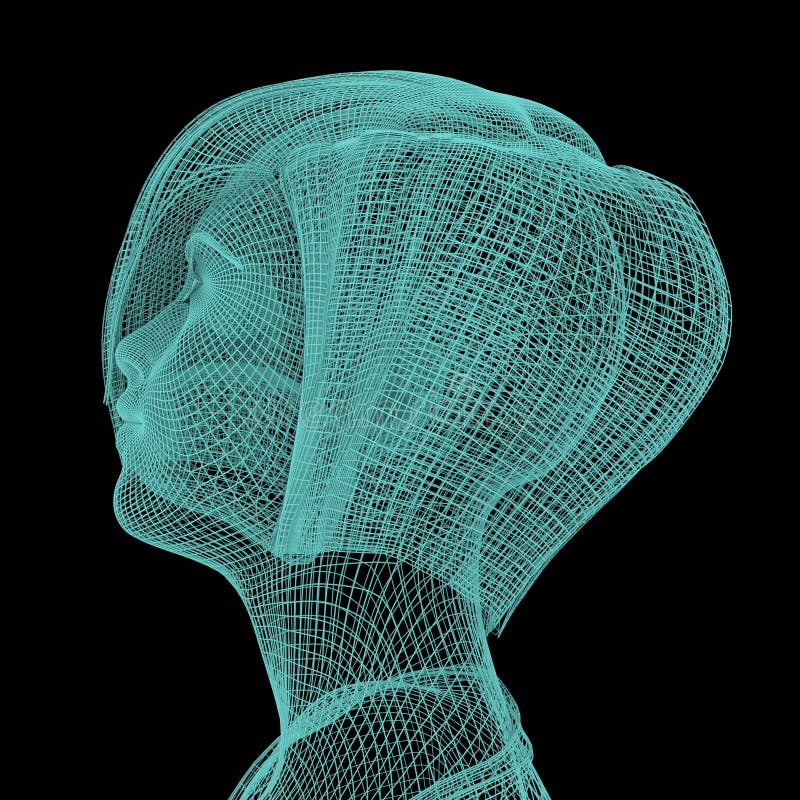 Face Grid Model Woman Stock Illustrations – 250 Face Grid Model Woman ...