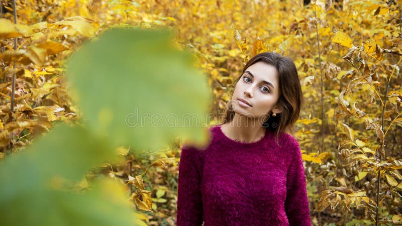 Young woman at fall stock image. Image of face, girl - 131605181