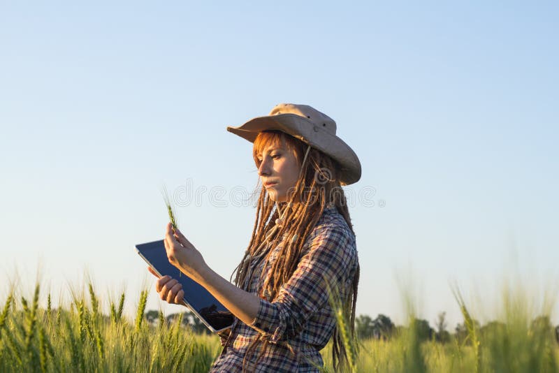 Woman work in fields stock image. Image of field, military - 121288185