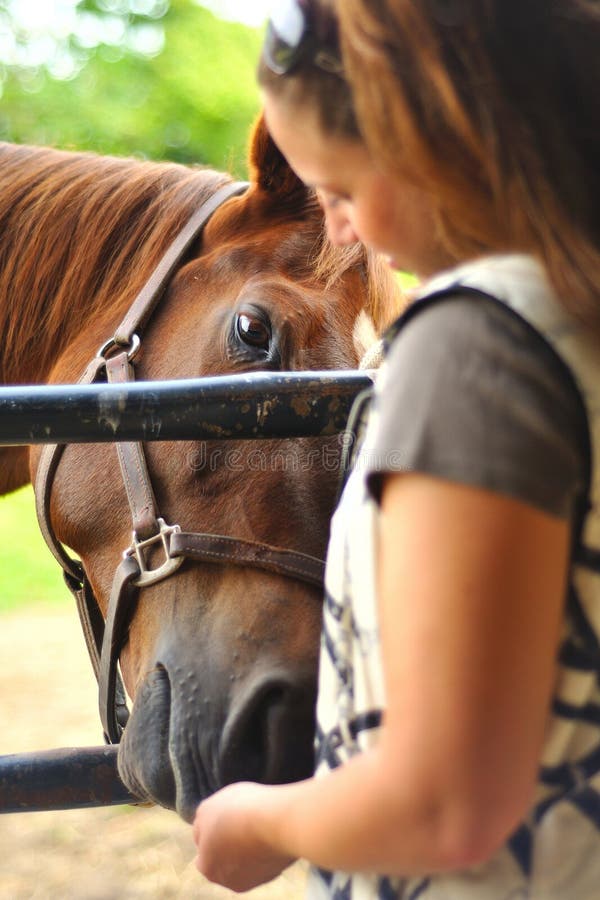 Young woman feeding horse stock image. Image of caucasian - 20049429