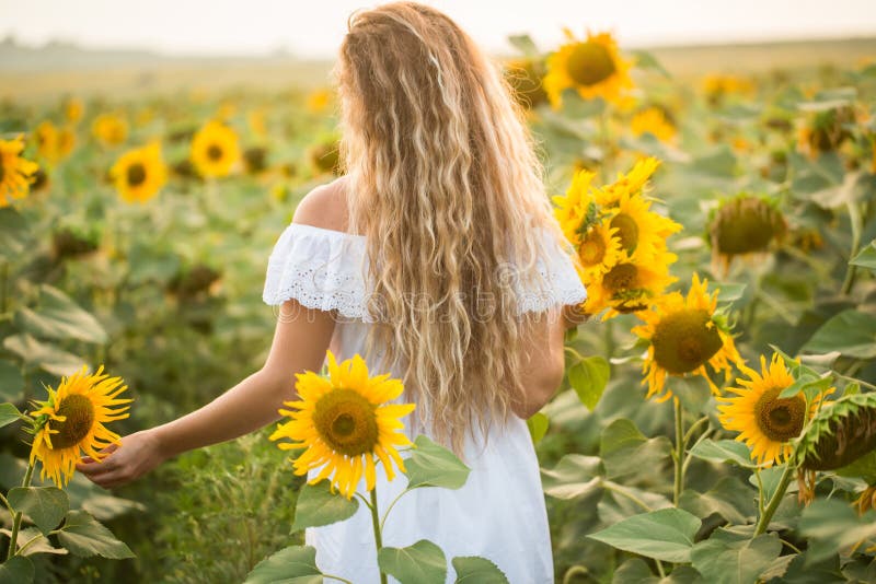 Young Woman In A Field Of Sunflowers Sunset Light In The Field Of