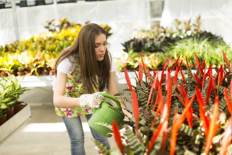 Young Woman in Flower Garden Stock Photo - Image of cultivate, girl ...