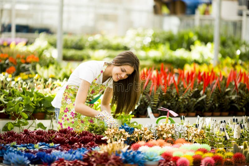 Young Woman in Flower Garden Stock Photo - Image of gardener, care ...