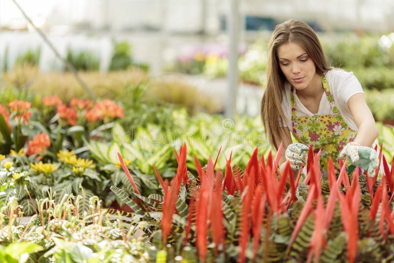 Young Woman in Flower Garden Stock Photo - Image of cultivate, girl ...