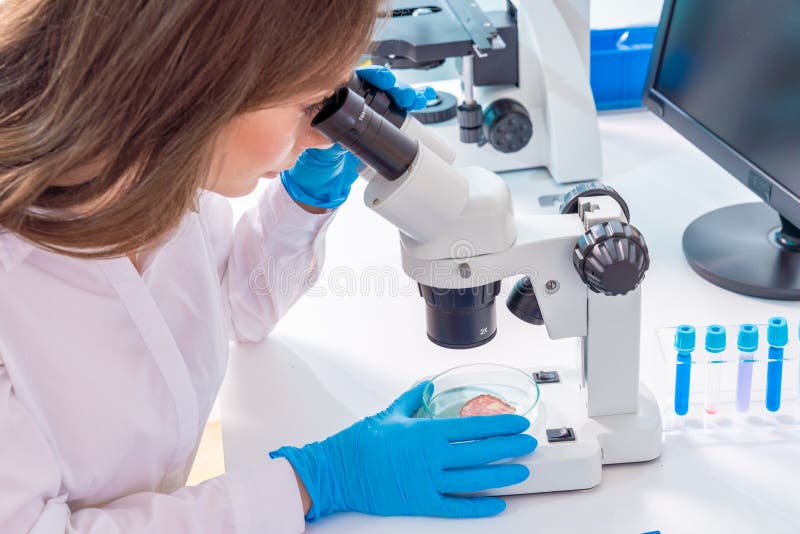 Food Quality stock photo. Image of chemistry, research - 21673060