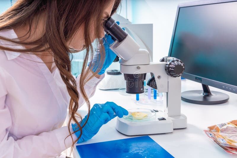 Young Woman in Food Quality Control Lab Stock Photo - Image of people ...