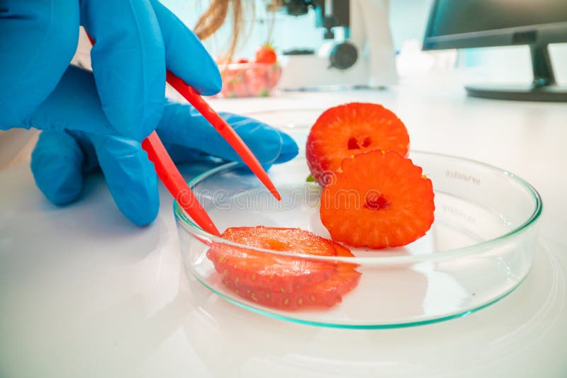 Young Woman in Food Quality Control Lab Stock Image - Image of lentil ...