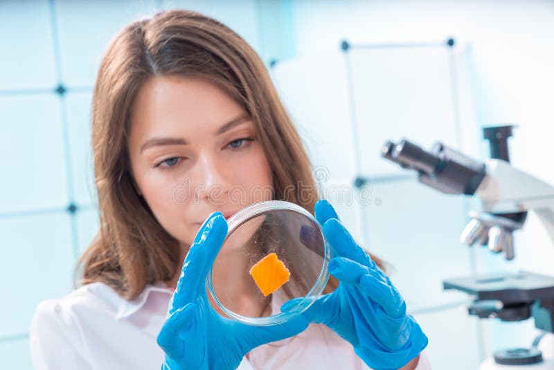 Young Woman in Food Quality Control Lab Stock Image - Image of ... Young Woman in Food Quality Control Lab Stock Image - Image of ...
