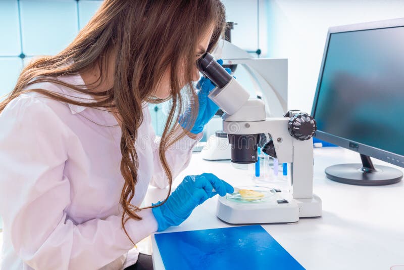 Young Woman in Food Quality Control Lab Stock Image - Image of ... Young Woman in Food Quality Control Lab Stock Image - Image of ...