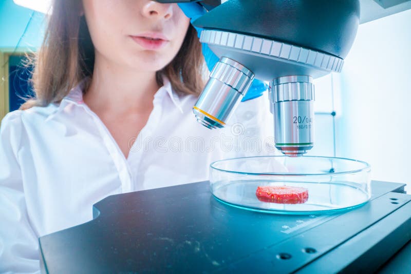 Young Woman at Food Quality Control in Laboratory Stock Photo - Image ... Young Woman at Food Quality Control in Laboratory Stock Photo - Image ...