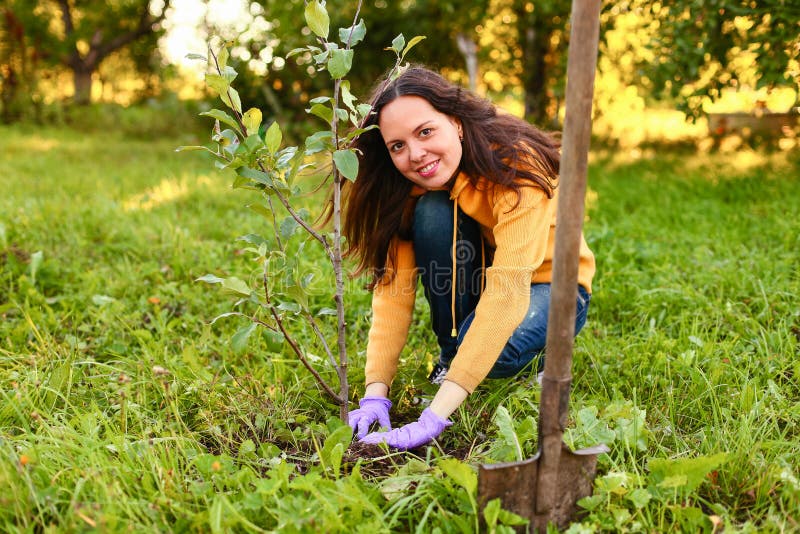 Young woman in garden. stock image. Image of care, cute - 59933053