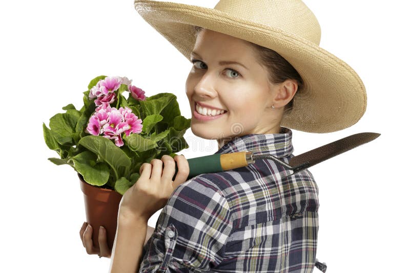 Woman Gardener Planting Flowers Stock Photo - Image of activity ...