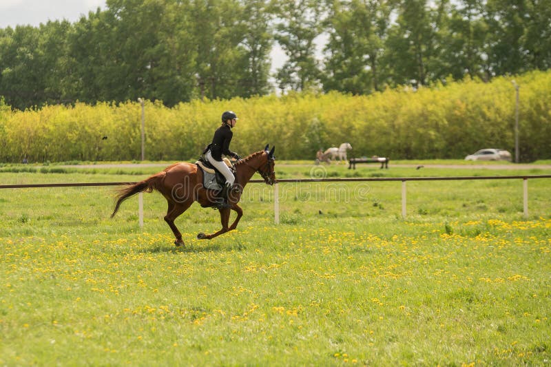 A Young Woman Goes in for Horseback Riding. Stock Image - Image of ...