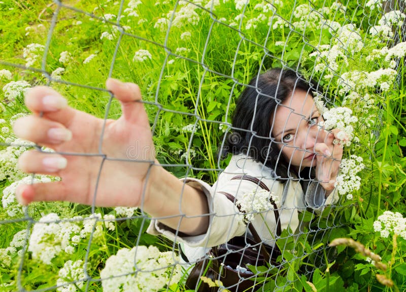 Young Woman on a Grass Looking Over Wire Fence Stock Image - Image of ...