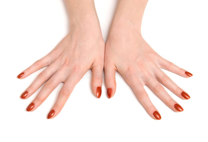Two wide open woman hands stock photo. Image of hands - 2316158