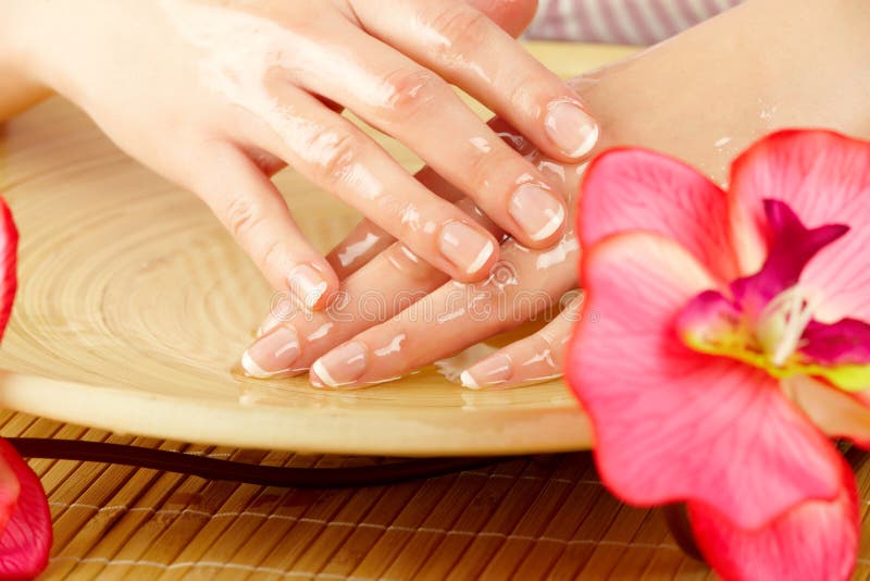 Hands care stock image. Image of luxury, fruits, fingernail - 1863825