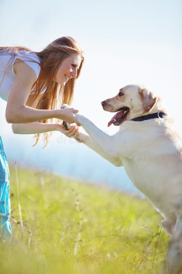 Owner Woman with Golden Retriever Dog Taking Selfie Portrait Stock ...
